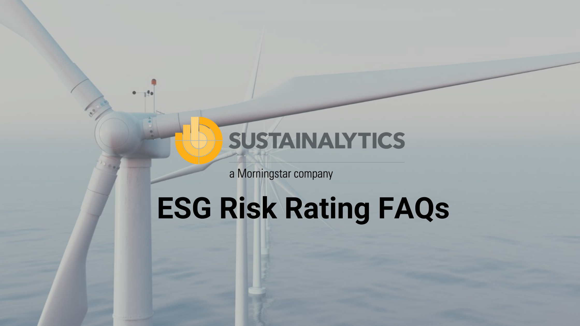 Esg Risk Ratings Faqs For Corporations